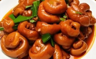 红烧猪大肠怎么做好吃_红烧猪大肠的家常做法