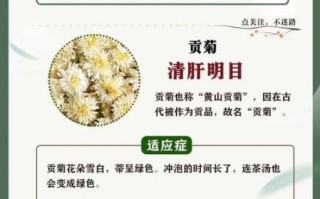 怀菊花泡水喝的功效与禁忌_怀菊花和杭菊的区别