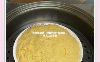 玉米发糕怎么蒸才松软_玉米发糕的家庭做法