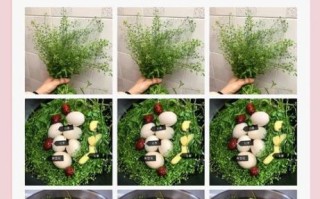 3月3地菜煮鸡蛋是什么节_地菜煮鸡蛋的来历