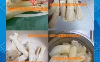 竹荪怎么泡发_竹荪的做法大全