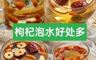 枸杞子泡水喝的正确方法_枸杞子能提高性功能吗