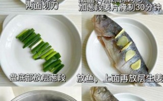鱼的做法大全_清蒸鲈鱼怎么做