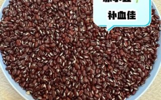 赤小豆什么人不能吃_赤小豆一天吃多少克