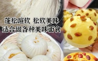 蒸面食小吃做法大全_新手怎么做才松软