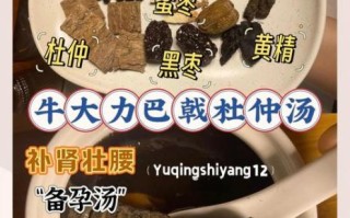 壮腰补肾汤谱大全_哪些汤最管用