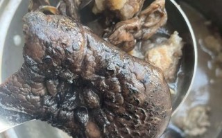 虎掌菌怎么做好吃_虎掌菌的做法大全