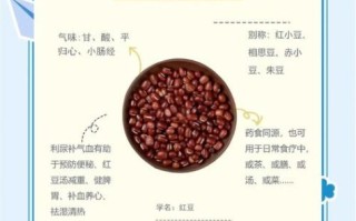 红豆减肥吗_红豆怎么吃减肥最快