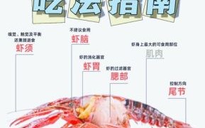 龙虾哪里不能吃图解_龙虾内脏位置示意图