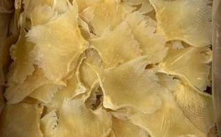 鱼翅多少钱一斤_鱼翅价格为什么差距大