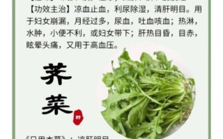 荠菜图片功效与作用_荠菜怎么吃最营养
