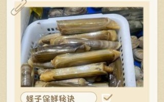 蛏子怎么保存_蛏子能放冰箱多久