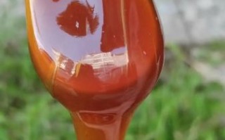 麦芽糖是什么样子的_麦芽糖图片特征