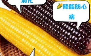 甜玉米是转基因吗_甜玉米安全吗