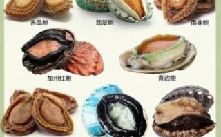 鲍鱼是什么意思网络语_鲍鱼网络梗来源