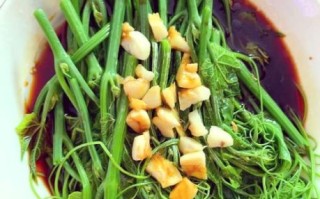 龙须菜怎么凉拌才好吃_龙须菜凉拌要不要焯水