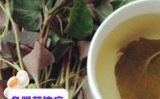 鱼腥草的功效与作用_鱼腥草怎么吃效果最好