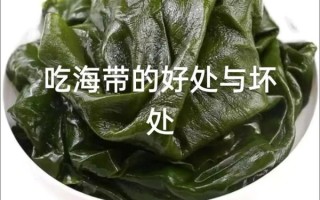 女人吃海带坏处_海带吃多了会宫寒吗