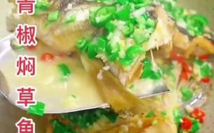 草鱼怎么做好吃又简单_家常草鱼的做法大全