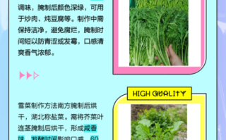 雪菜和雪里红是一样的吗_雪菜和雪里红的区别