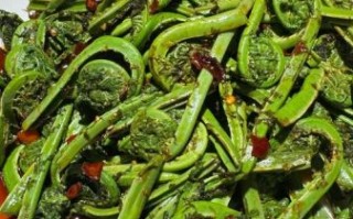 野菜图片大全大图_哪些野菜可以安全食用