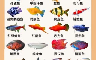 淡水鱼种类大全_常见淡水鱼名称及图片对照