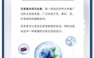 花青素的功效与作用_花青素能长期吃吗