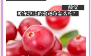 蔓越莓图片功效_蔓越莓对女性有什么好处