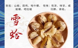 雪蛤的功效与作用_雪蛤多少钱一斤