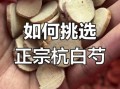 白芍长什么样_白芍图片如何鉴别真假