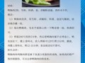 鸭胸肉怎么做好吃_鸭胸肉的做法大全
