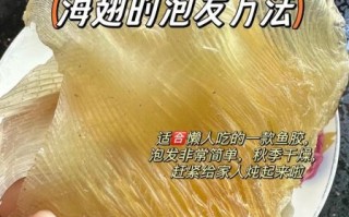 鱼翅怎么泡发_鱼翅泡发多久合适