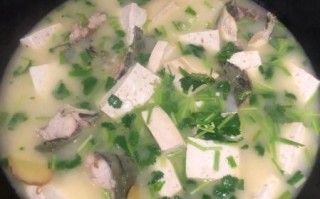 鲶鱼炖豆腐怎么做_鲶鱼的做法大全视频