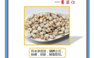 薏米丸的功效与副作用_薏米丸能长期吃吗