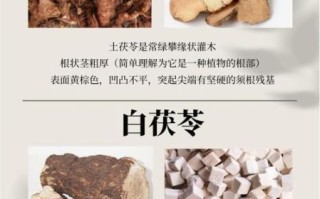土茯苓和茯苓的区别_哪个祛湿更好