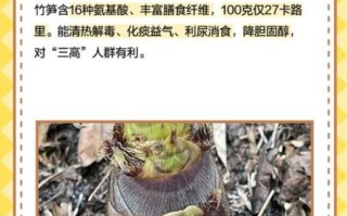 小竹笋的功效与作用_小竹笋的禁忌有哪些