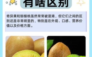 奇异果和猕猴桃一样吗_营养价值区别