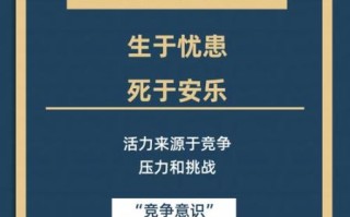 鲢鱼效应什么意思_鲢鱼效应对团队的影响