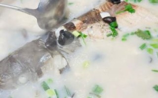 鱼头汤怎么炖才白_鱼头汤做法步骤详解