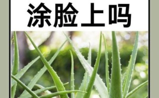 芦荟敷脸的正确方法_敏感肌能用芦荟直接敷脸吗