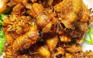 油炸知了猴怎么做好吃_知了猴炸多久才酥脆