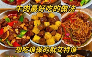 牛肉怎么做好吃_家常牛肉做法大全