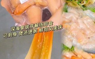 象拔蚌干煲汤做法大全_象拔蚌干煲汤怎么做好吃