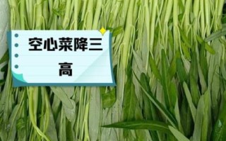 空心菜的功效与危害_什么人不能吃