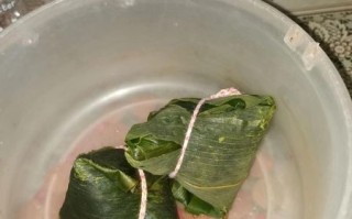 粽子用高压锅蒸多长时间_粽子高压锅蒸多久才熟
