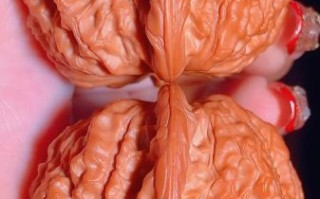 麒麟纹狮子头怎么盘_麒麟纹狮子头价格多少钱