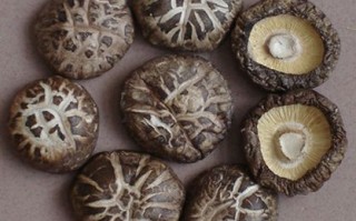 花菇产地在哪里_花菇哪里产的最好