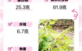 白扁豆长什么样_白扁豆图片大全哪里找