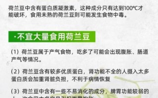 荷兰豆的营养价值_荷兰豆的功效与作用