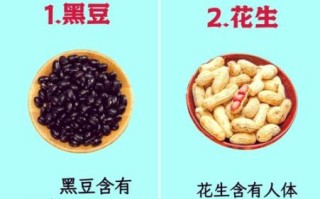 初中生补脑抗疲劳吃什么最好_哪些食物最管用
